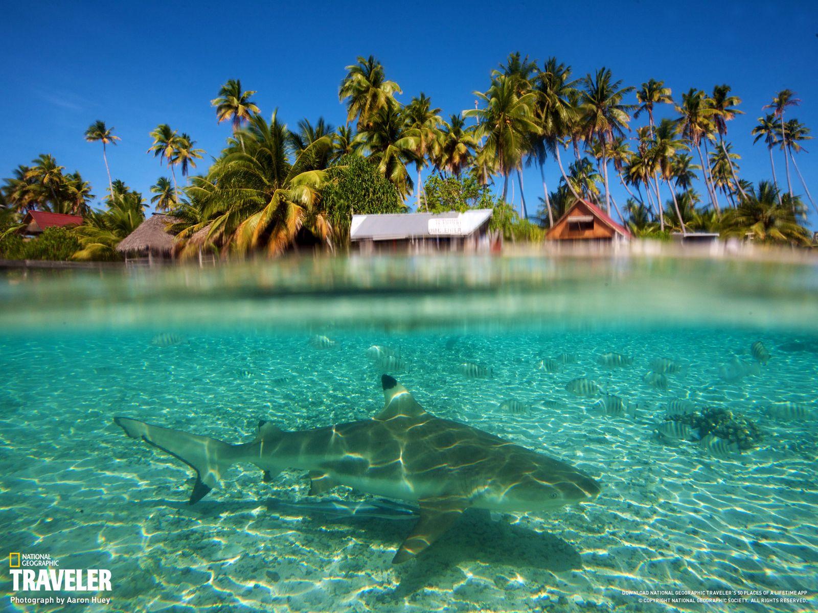 Pacific Island Wallpapers - Top Free Pacific Island Backgrounds ...