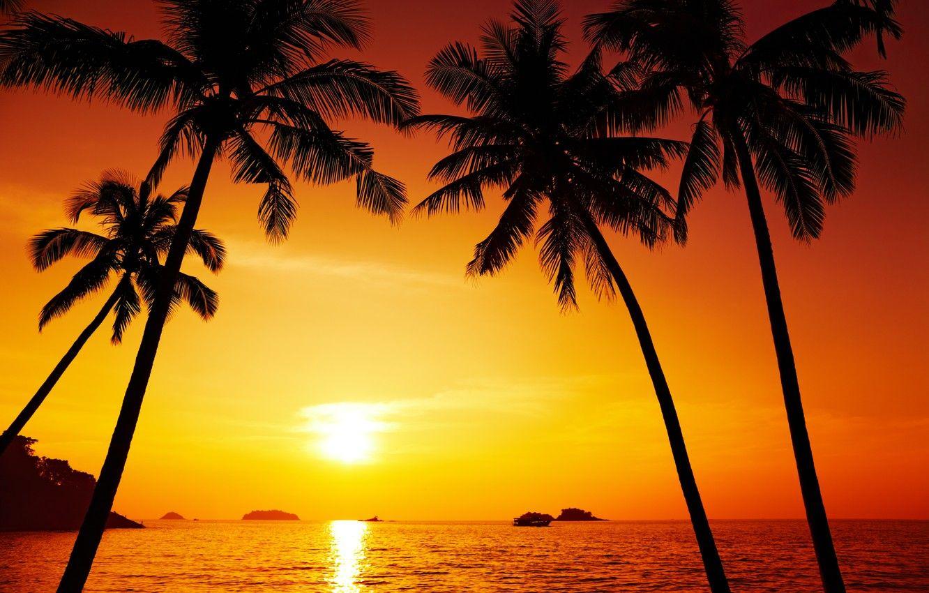 Pacific Island Wallpapers - Top Free Pacific Island Backgrounds ...