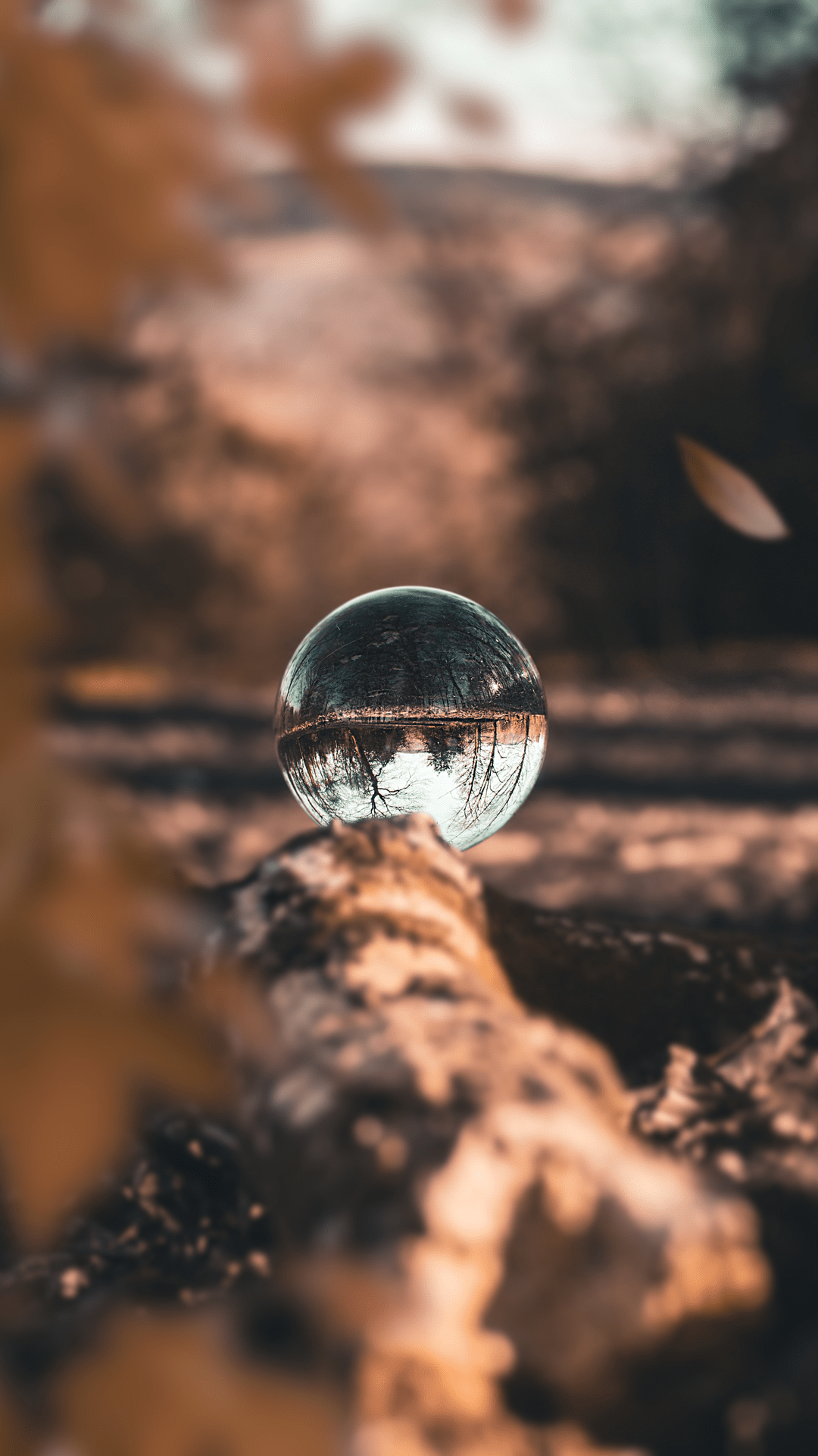 Cozy Phone Wallpapers - Top Free Cozy Phone Backgrounds - WallpaperAccess