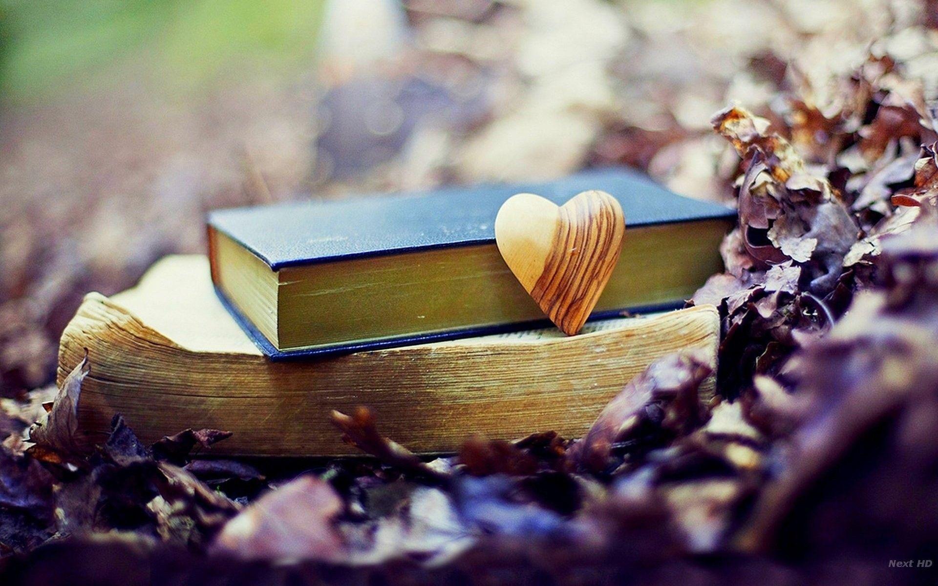 Autumn Books Wallpapers - Top Free Autumn Books Backgrounds ...