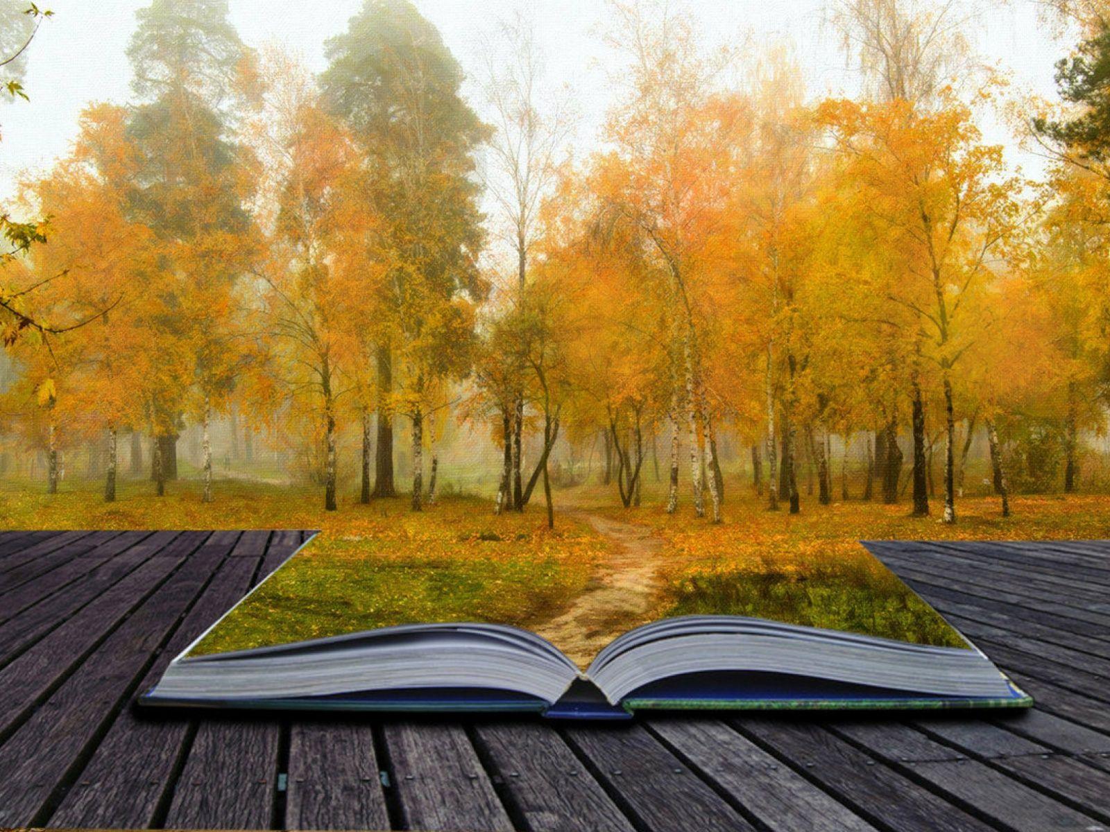 Autumn Books Wallpapers - Top Free Autumn Books Backgrounds ...