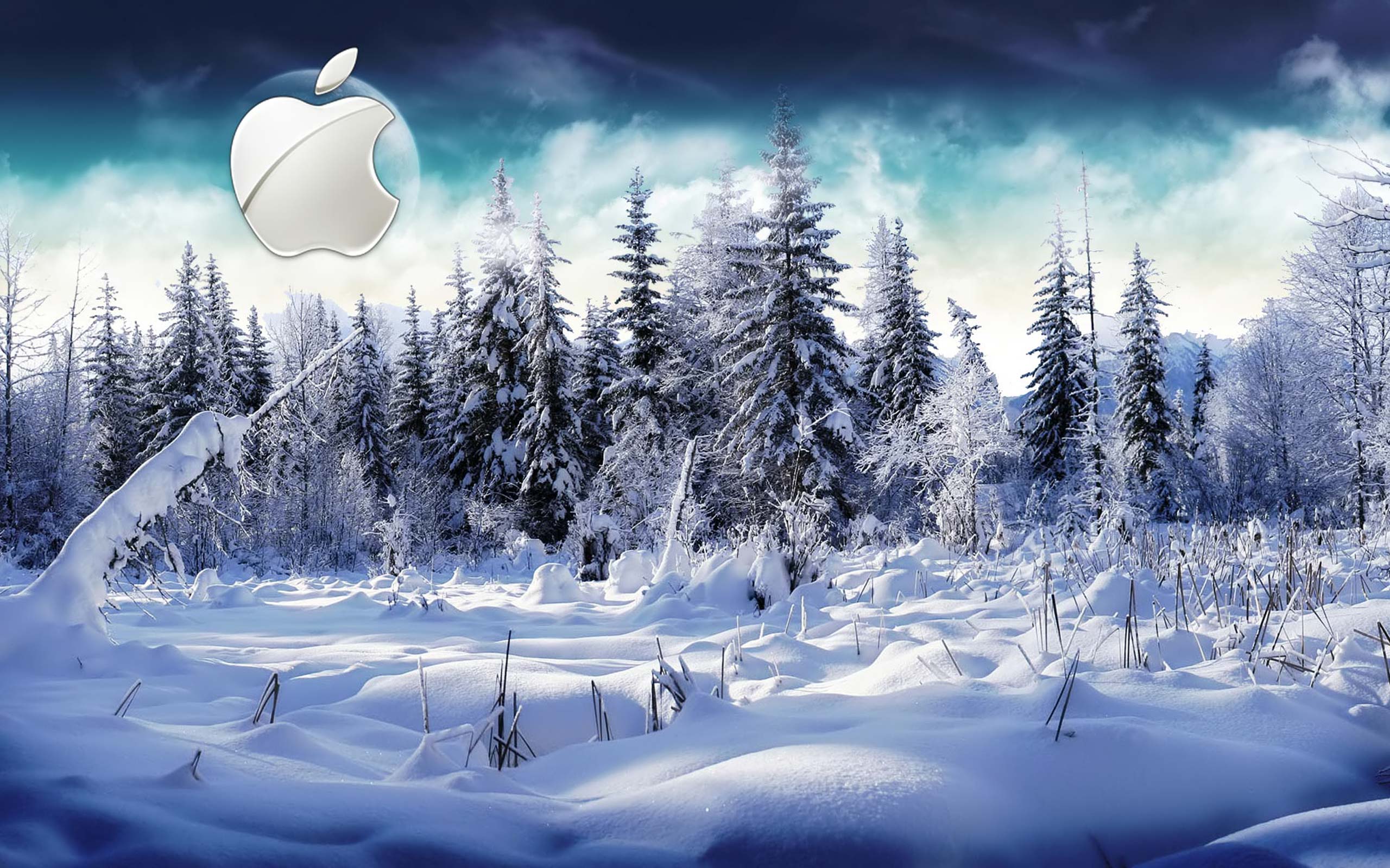 Winter MacBook Wallpapers - Top Free Winter MacBook Backgrounds ...