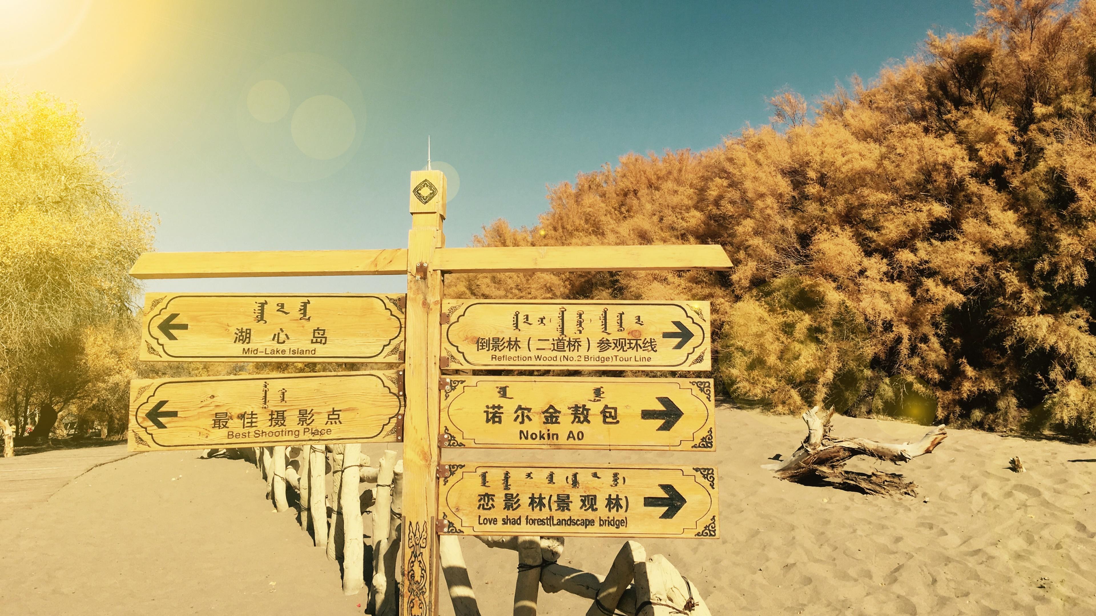 Hot Summer Day Wallpapers - Top Free Hot Summer Day Backgrounds ...