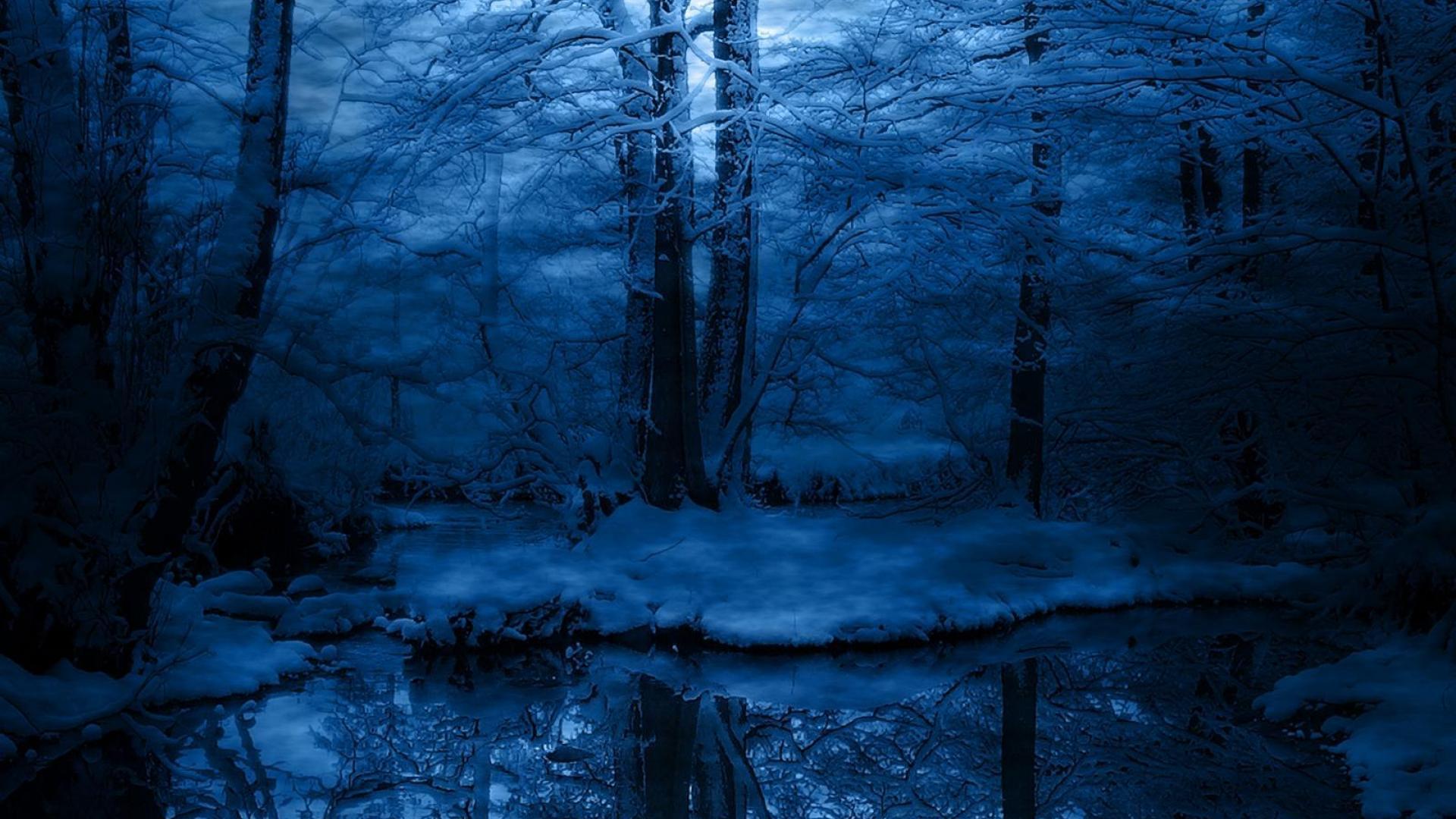 Frozen Forest iPhone 6 Wallpapers - Top Free Frozen Forest iPhone 6 ...