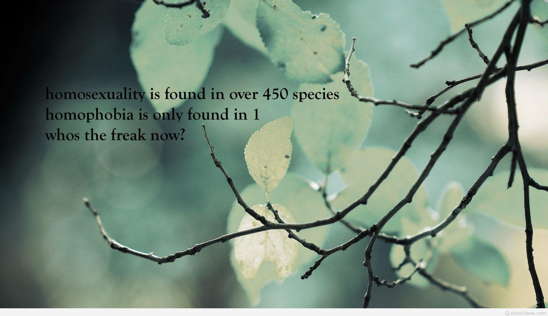 Fun Nature Wallpapers - Top Free Fun Nature Backgrounds - WallpaperAccess