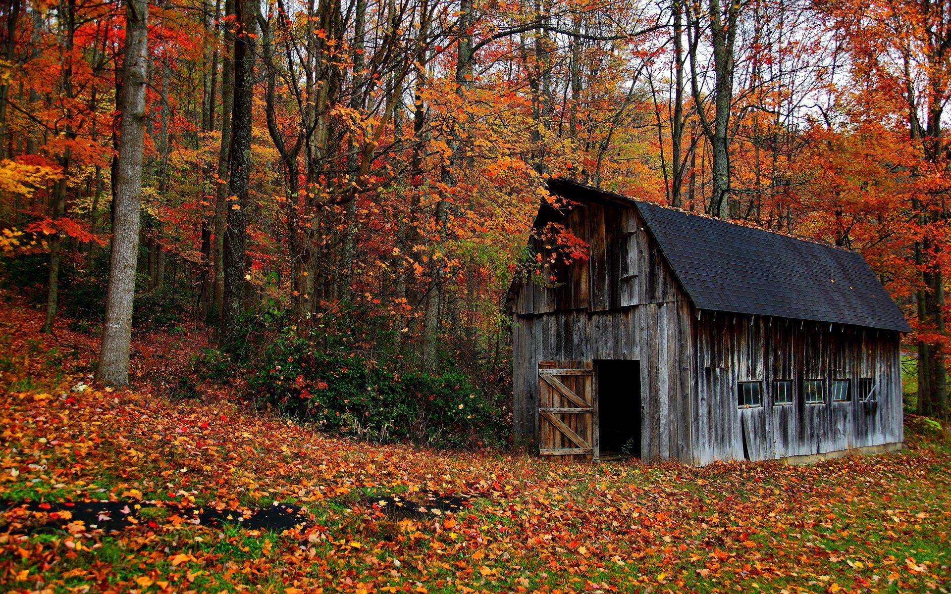 Rustic Barn Wallpapers - Top Free Rustic Barn Backgrounds - WallpaperAccess
