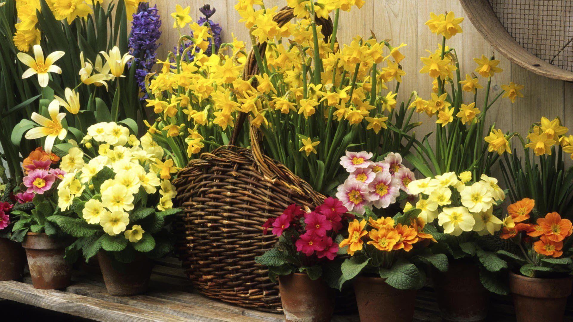 Rustic Spring Wallpapers - Top Free Rustic Spring Backgrounds ...