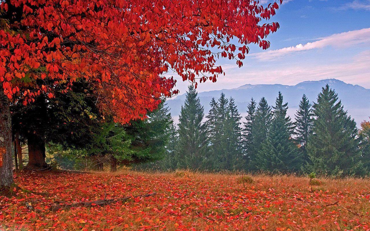 Colorful Nature Landscape Wallpapers - Top Free Colorful Nature ...