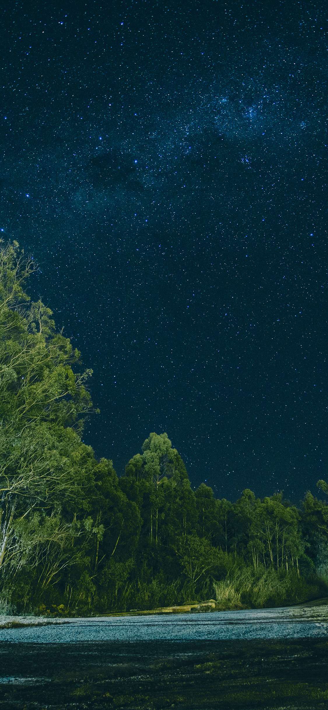 Forest and Stars Wallpapers - Top Free Forest and Stars Backgrounds ...