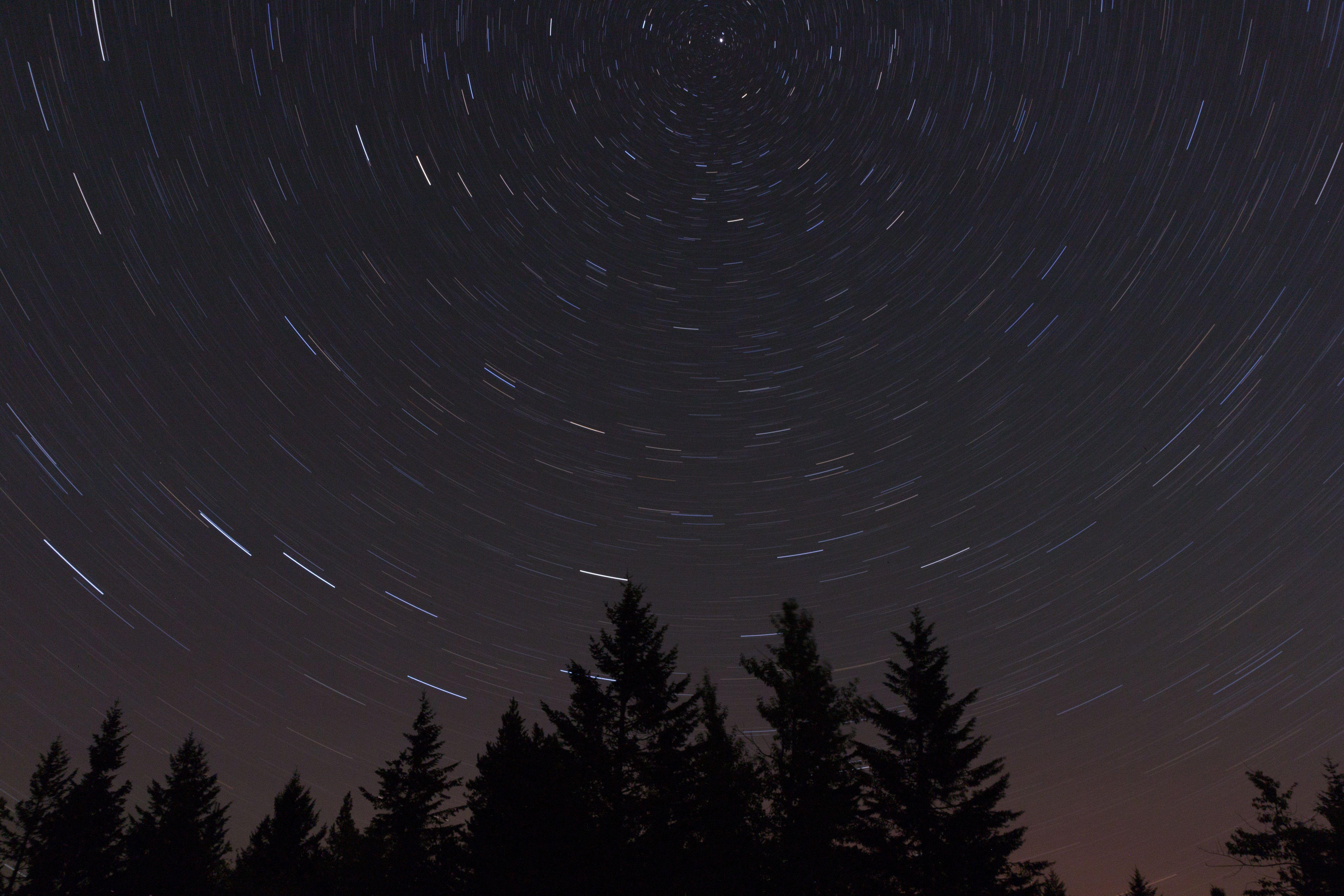 Forest and Stars Wallpapers - Top Free Forest and Stars Backgrounds ...