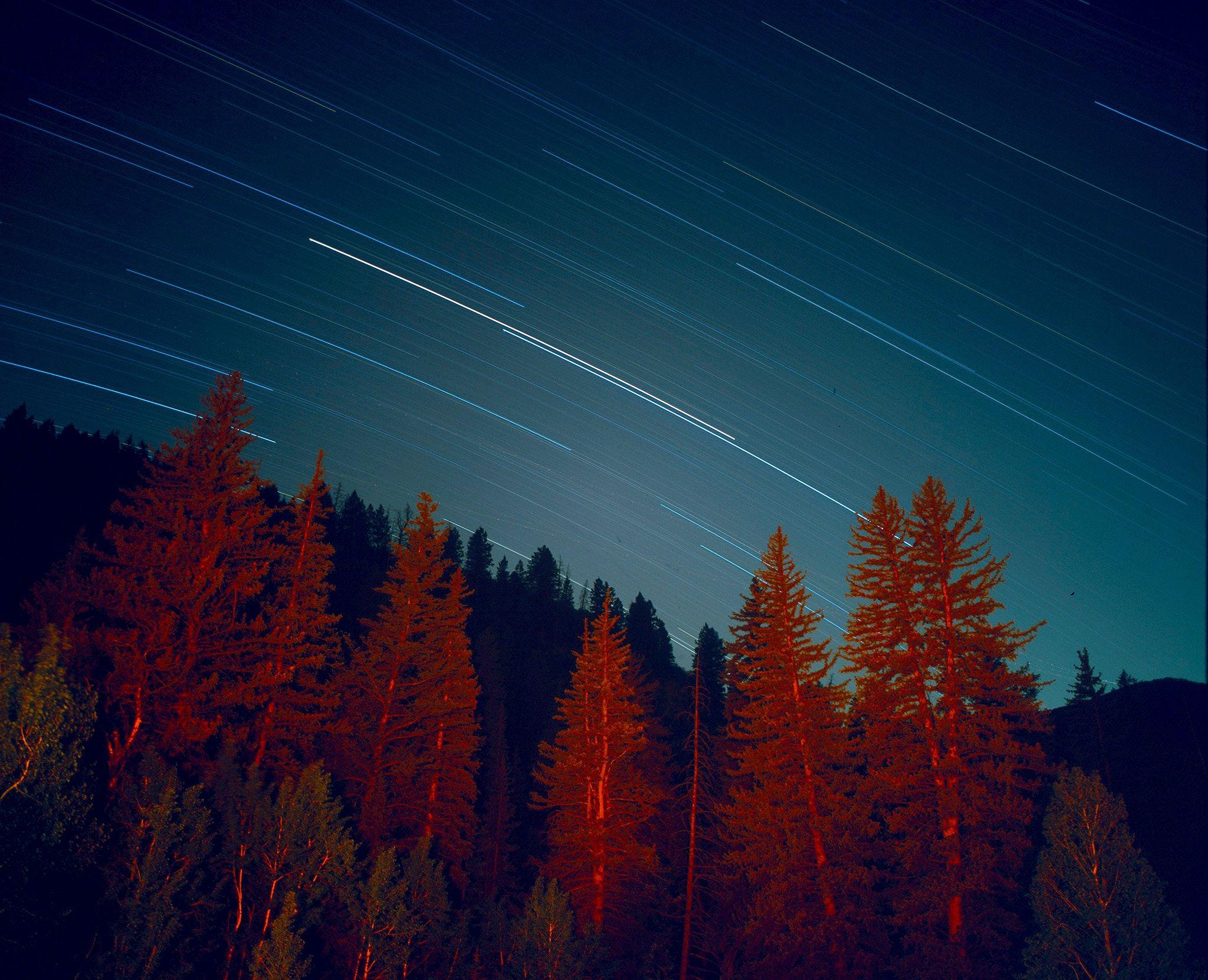 Forest and Stars Wallpapers - Top Free Forest and Stars Backgrounds ...