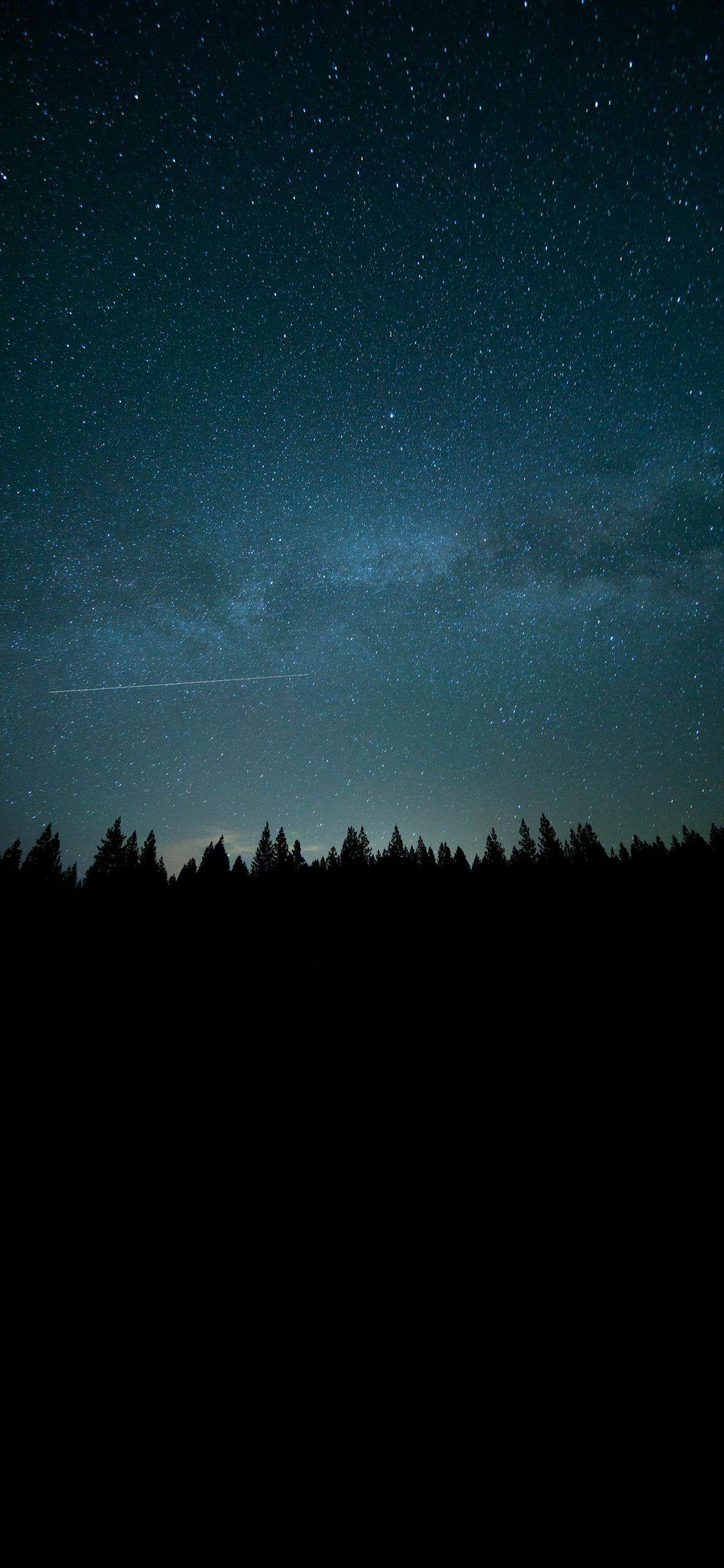 Forest and Stars Wallpapers - Top Free Forest and Stars Backgrounds ...