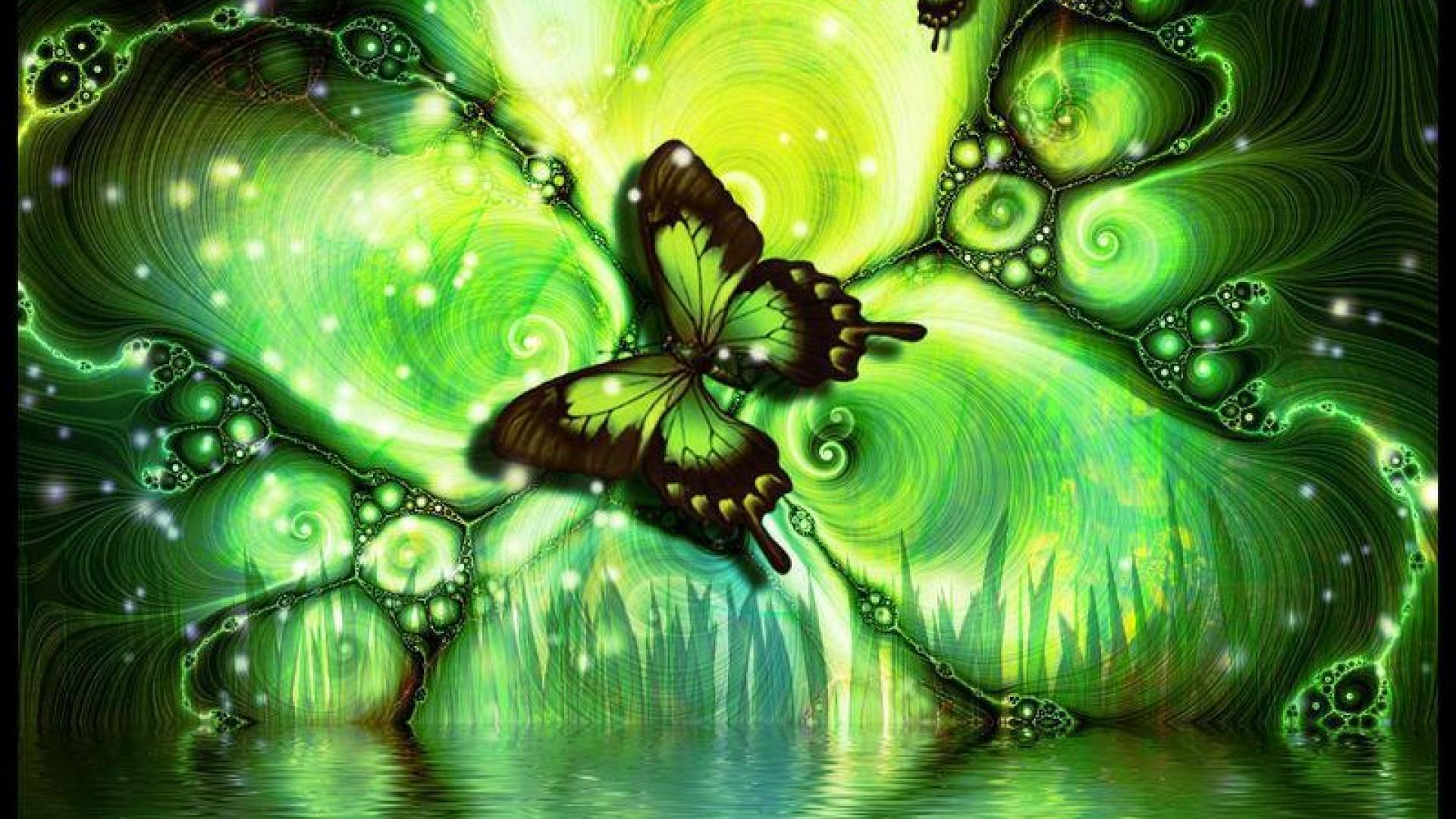 Green Butterfly Desktop Wallpapers - Top Free Green Butterfly Desktop ...