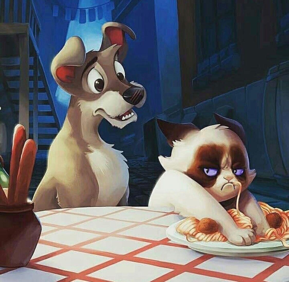 Grumpy Cat Desktop Wallpapers - Top Free Grumpy Cat Desktop Backgrounds ...