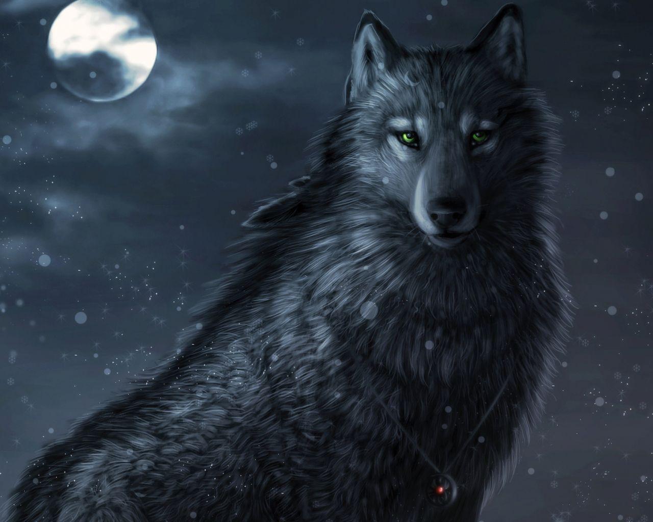 Anime Wolf Face Wallpapers - Top Free Anime Wolf Face Backgrounds ...