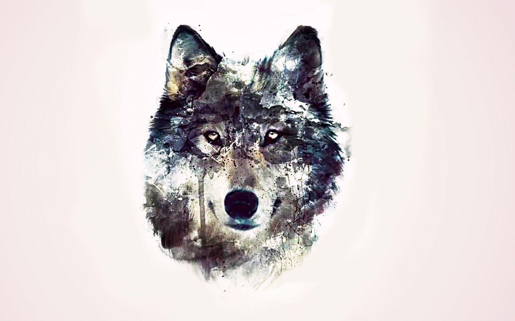 Drawn Wolf Wallpapers - Top Free Drawn Wolf Backgrounds - WallpaperAccess