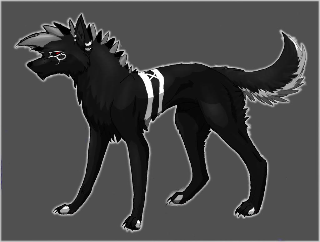 Anime Wolf Face Wallpapers - Top Free Anime Wolf Face Backgrounds ...