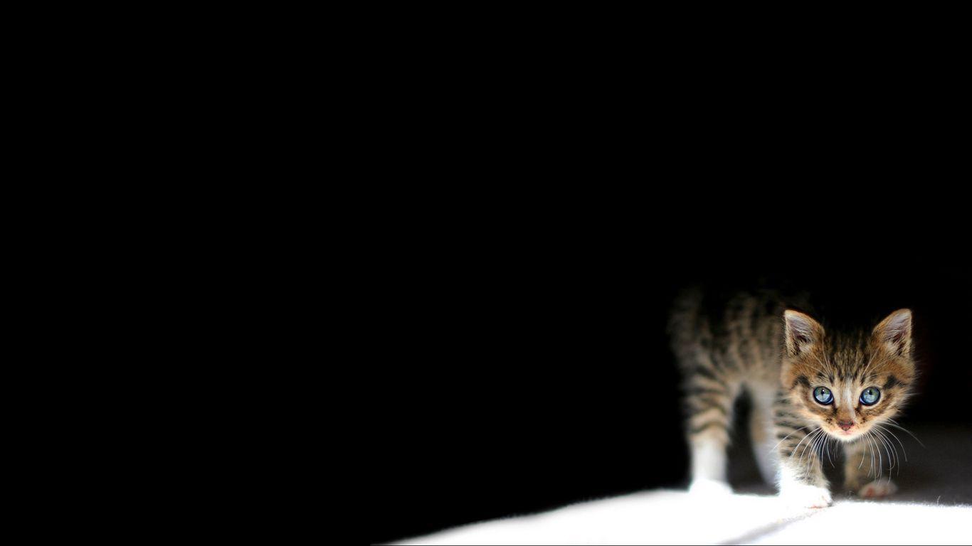 Dark Cute Laptop Wallpapers - Top Free Dark Cute Laptop Backgrounds ...