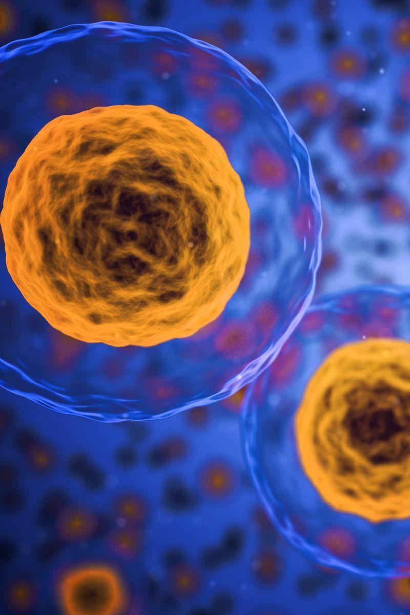 Microbiology HD Wallpapers - Top Free Microbiology HD Backgrounds ...