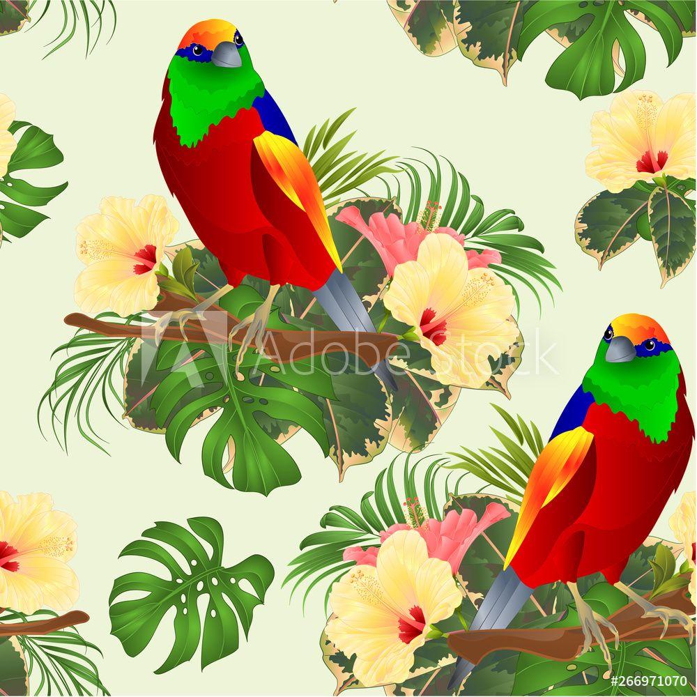 Tropical Flower Watercolor Wallpapers - Top Free Tropical Flower ...