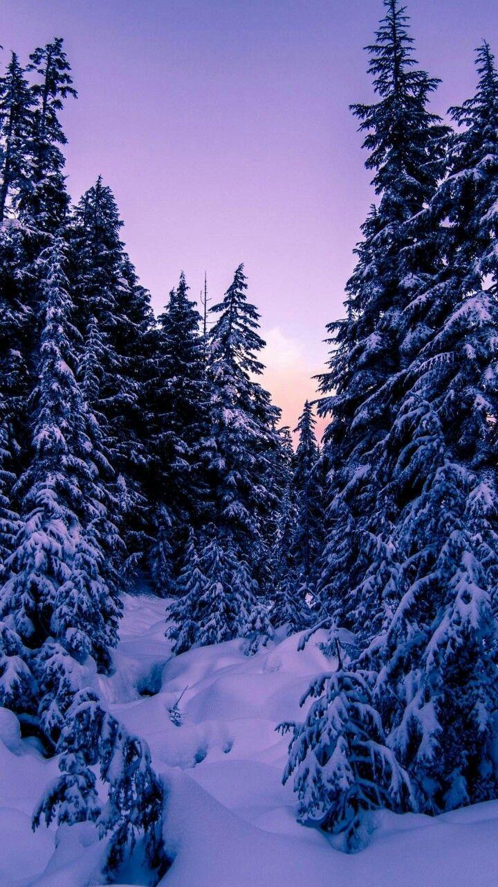 Pinterest Winter Wallpapers - Top Free Pinterest Winter Backgrounds ...