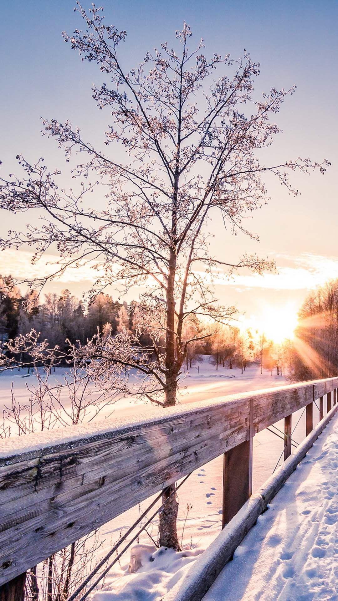 Pinterest Winter Wallpapers - Top Free Pinterest Winter Backgrounds ...