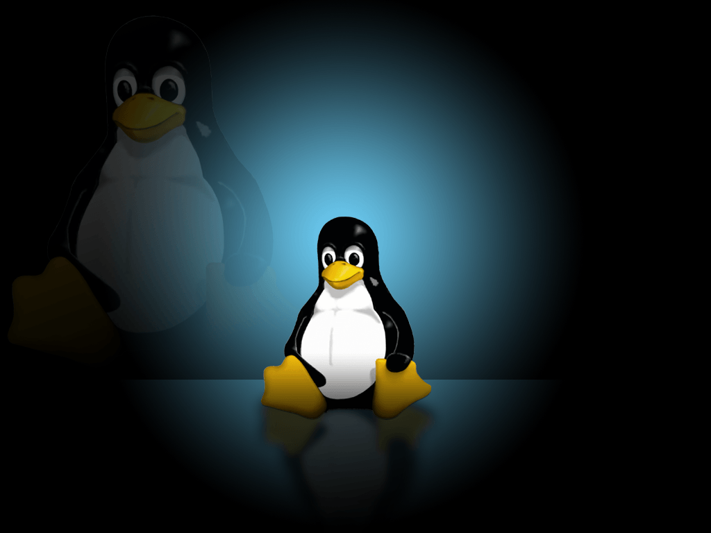 Linux Logo Wallpapers - Top Free Linux Logo Backgrounds - WallpaperAccess