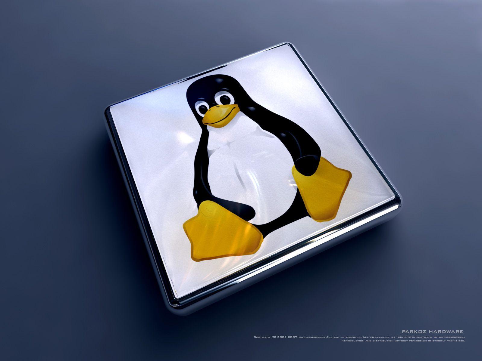 Linux Logo Wallpapers - Top Free Linux Logo Backgrounds - WallpaperAccess