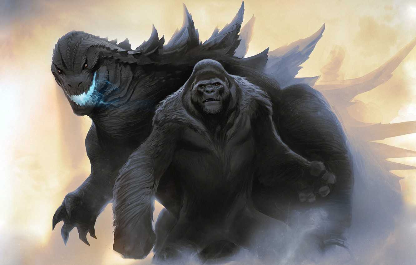 King Kong Vs Godzilla Wallpapers - Top Free King Kong Vs Godzilla Backgrounds - WallpaperAccess