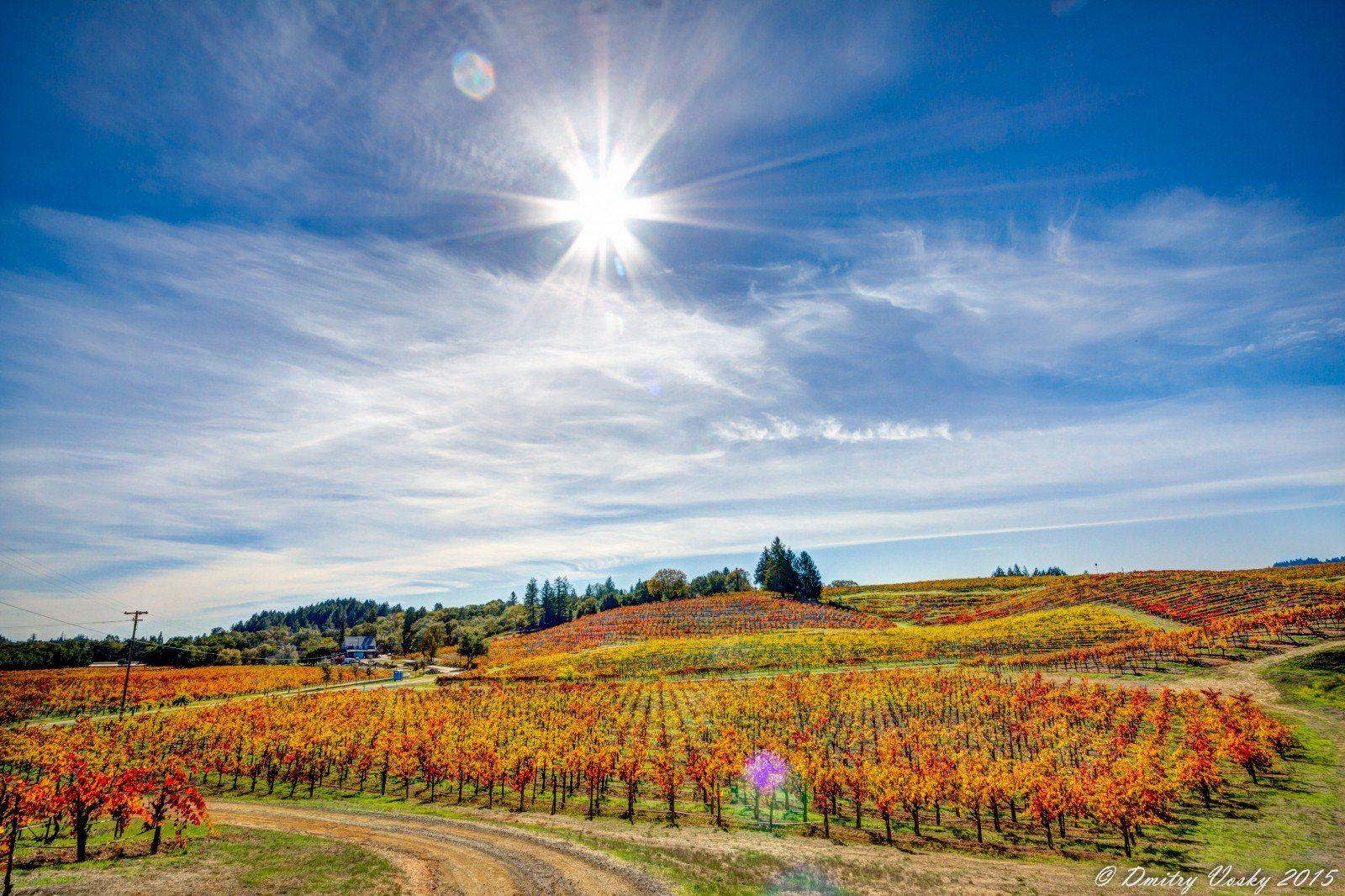 Sonoma Wallpapers - Top Free Sonoma Backgrounds - WallpaperAccess