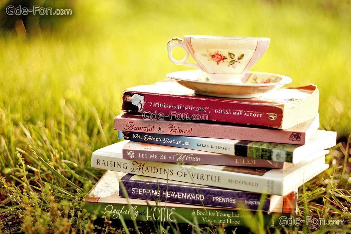 Bookstore Desktop Wallpapers - Top Free Bookstore Desktop Backgrounds ...