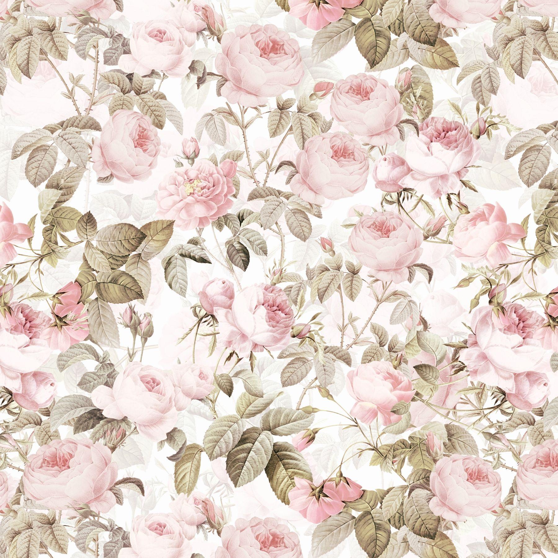 Pastel Rose Flower Wallpapers - Top Free Pastel Rose Flower Backgrounds ...