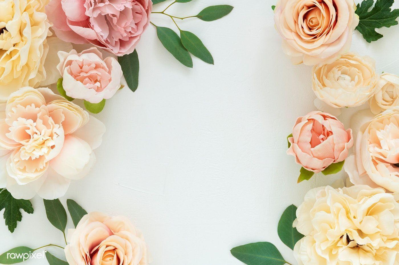 Pastel Rose Flower Wallpapers - Top Free Pastel Rose Flower Backgrounds ...