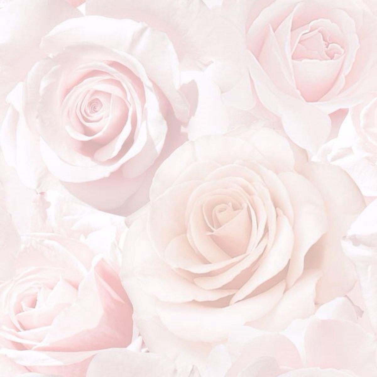 Pastel Rose Flower Wallpapers - Top Free Pastel Rose Flower Backgrounds ...