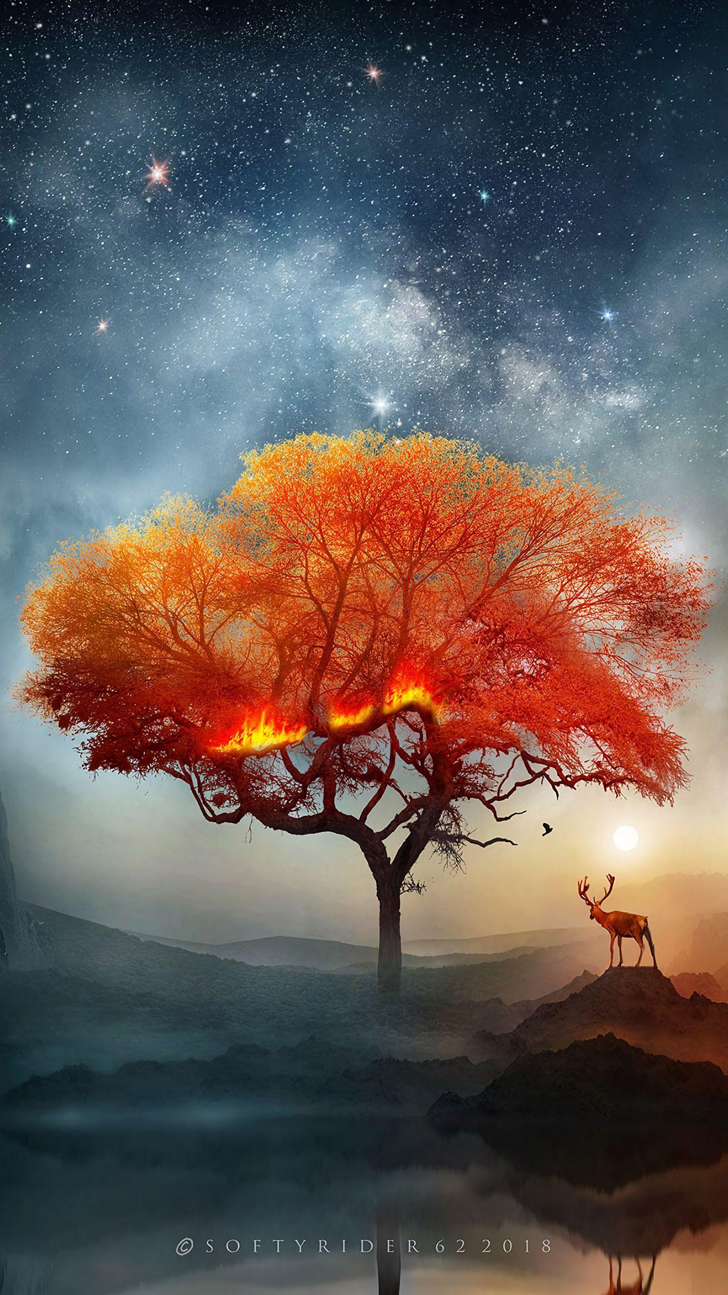 Amazing Mobile Wallpapers - Top Free Amazing Mobile Backgrounds ...