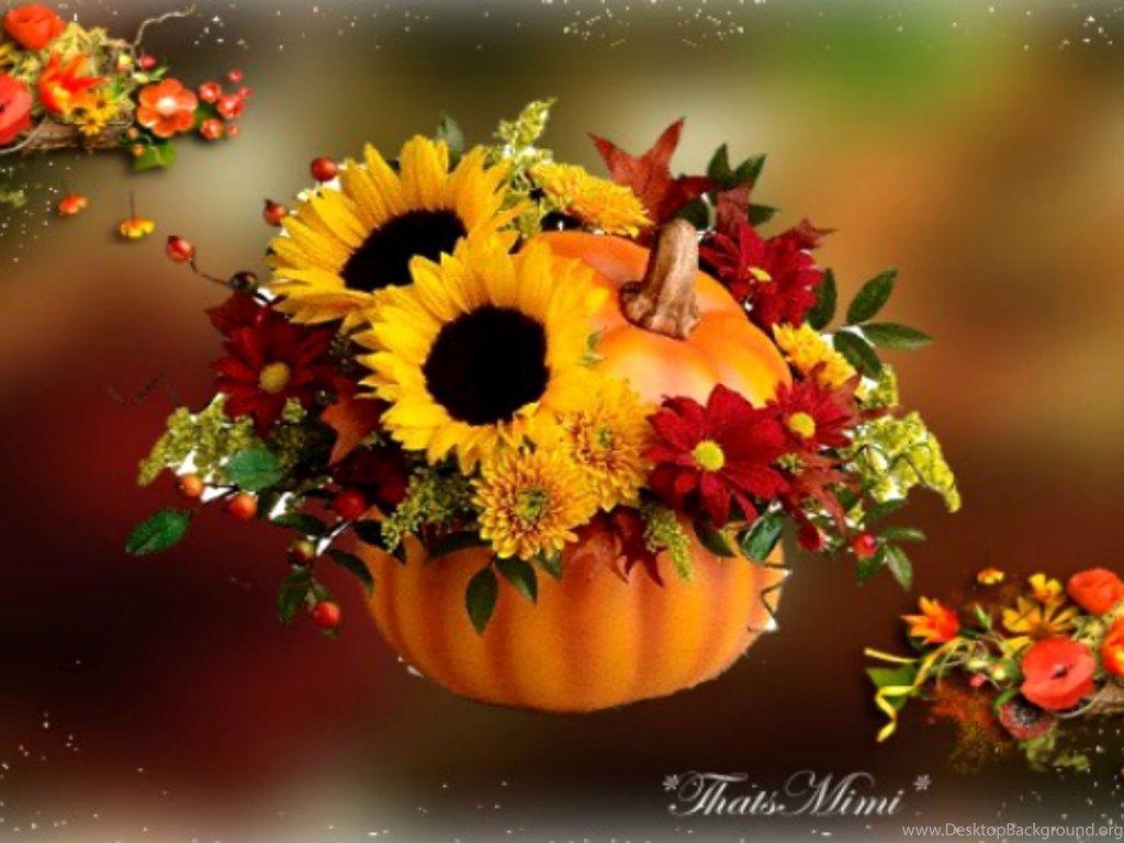 Autumn Sunflower Desktop Wallpapers - Top Free Autumn Sunflower Desktop ...