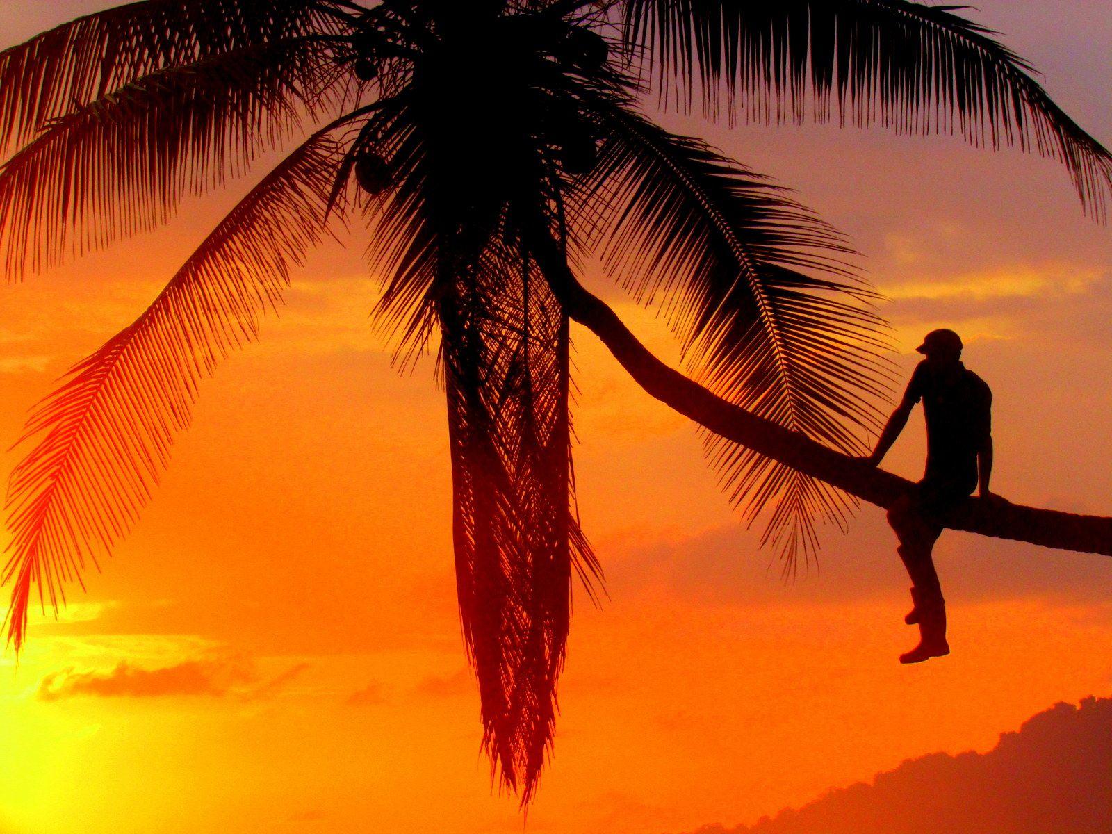 Sunset Costa Rica Wallpapers - Top Free Sunset Costa Rica Backgrounds ...