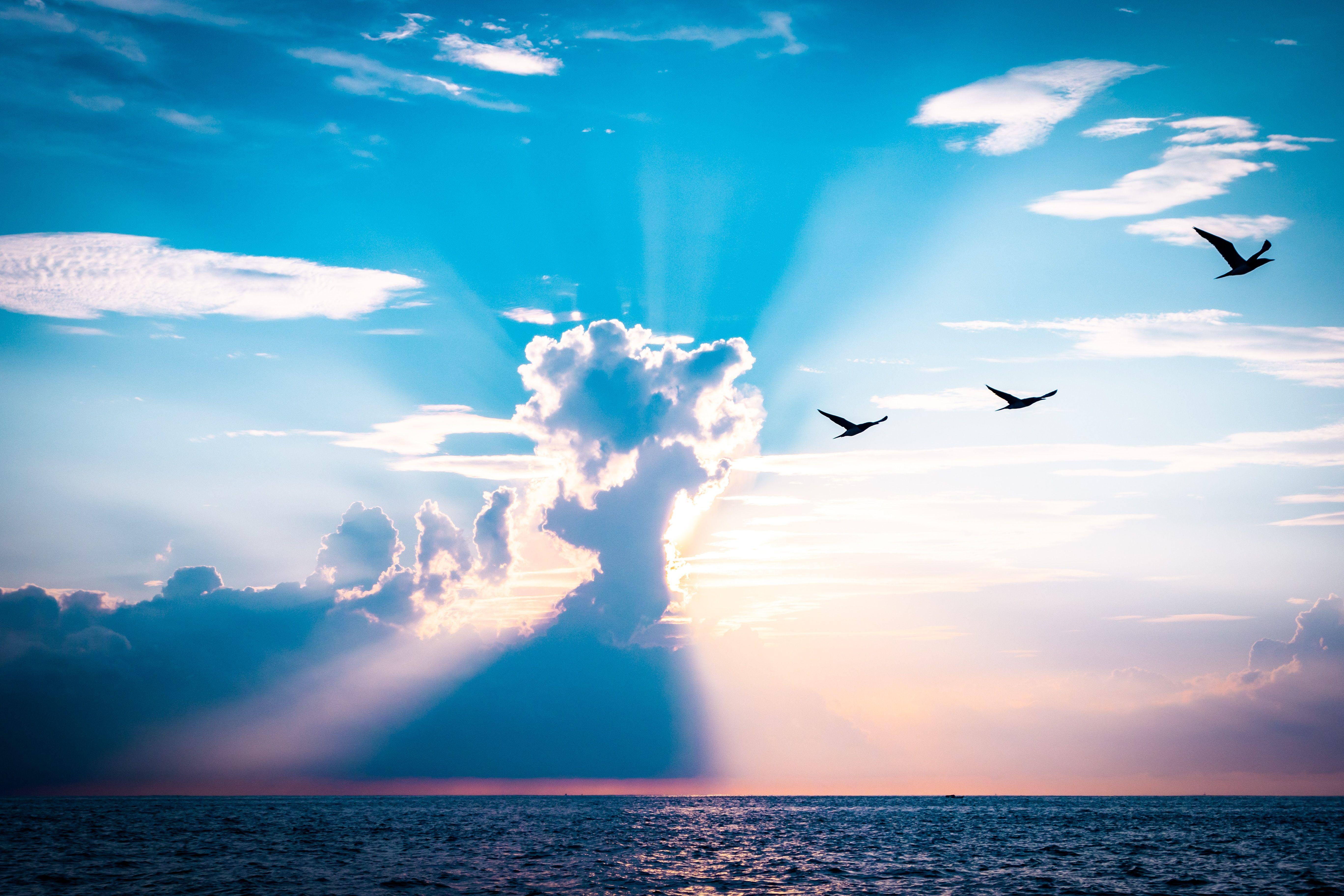 Sunset Costa Rica Wallpapers - Top Free Sunset Costa Rica Backgrounds ...