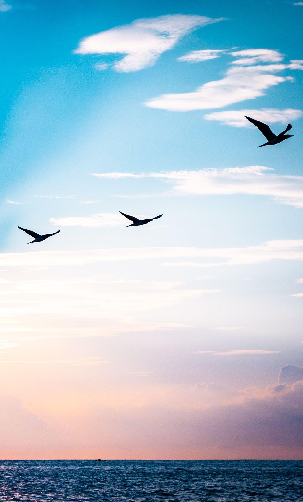 Sunset Costa Rica Wallpapers - Top Free Sunset Costa Rica Backgrounds ...