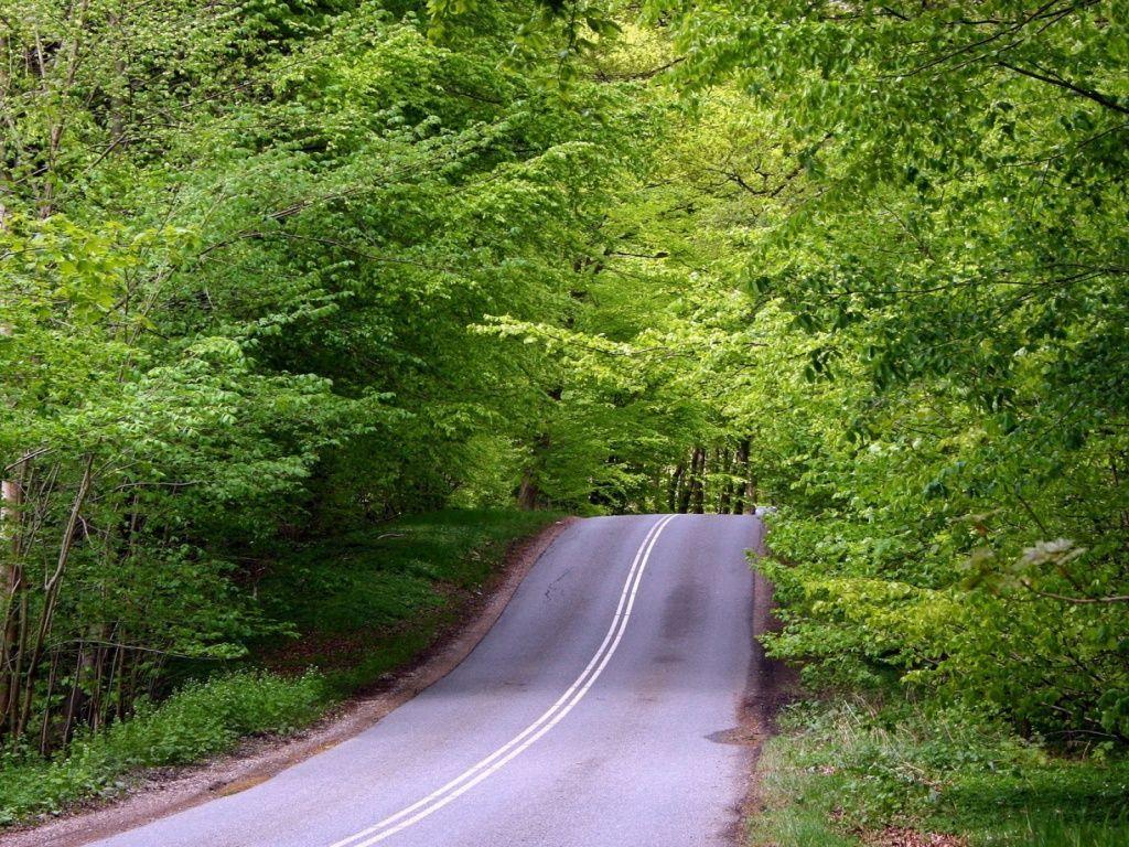 Hilly Road Wallpapers - Top Free Hilly Road Backgrounds - WallpaperAccess