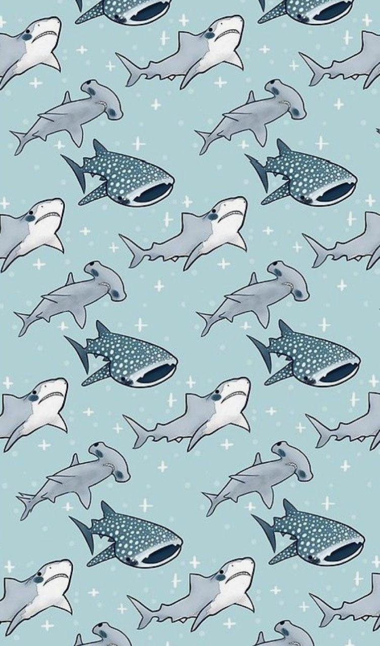 Shark Aesthetic Wallpapers - Top Free Shark Aesthetic Backgrounds ...