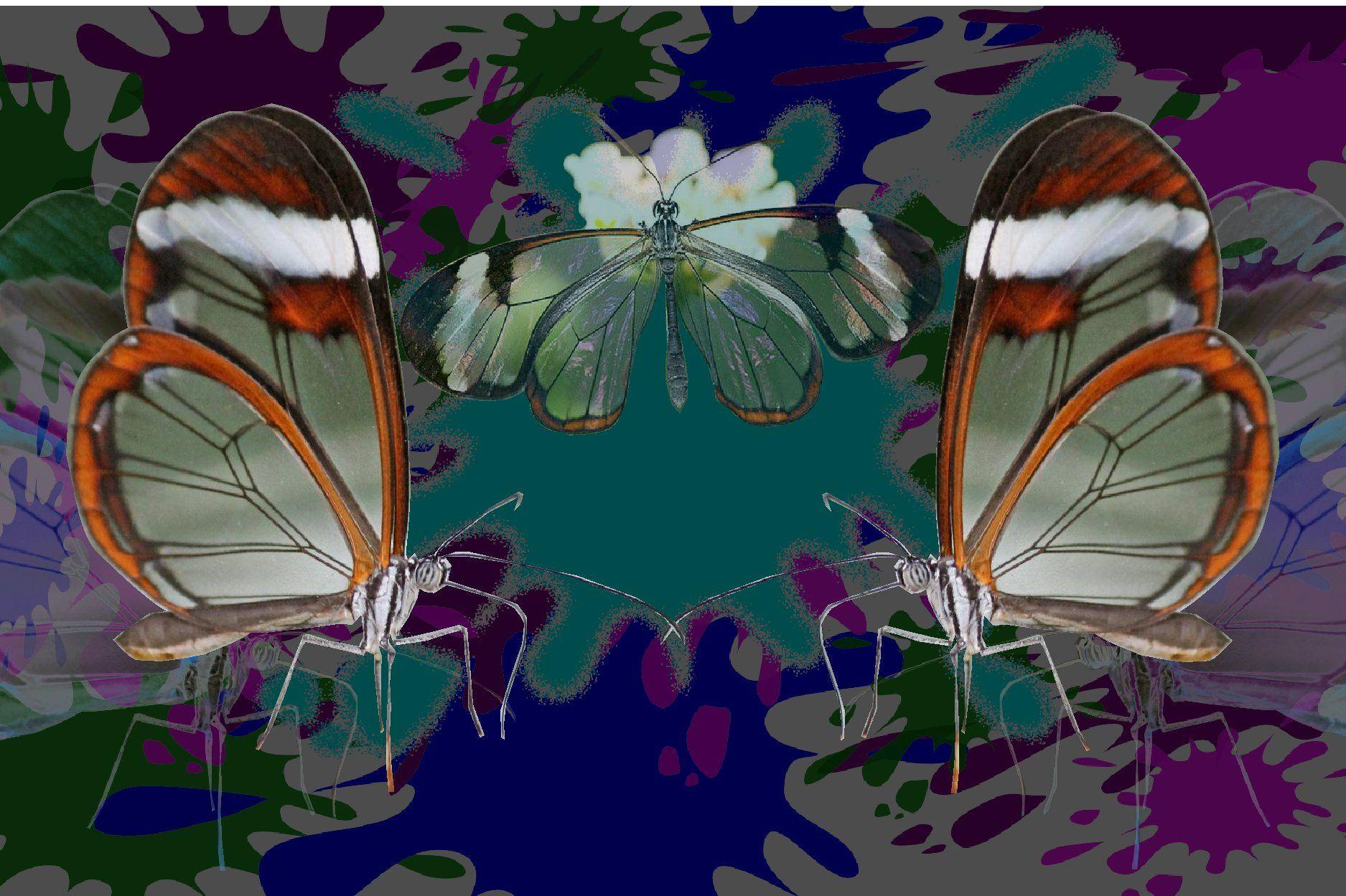 Psychedelic Butterfly Wallpapers - Top Free Psychedelic Butterfly ...