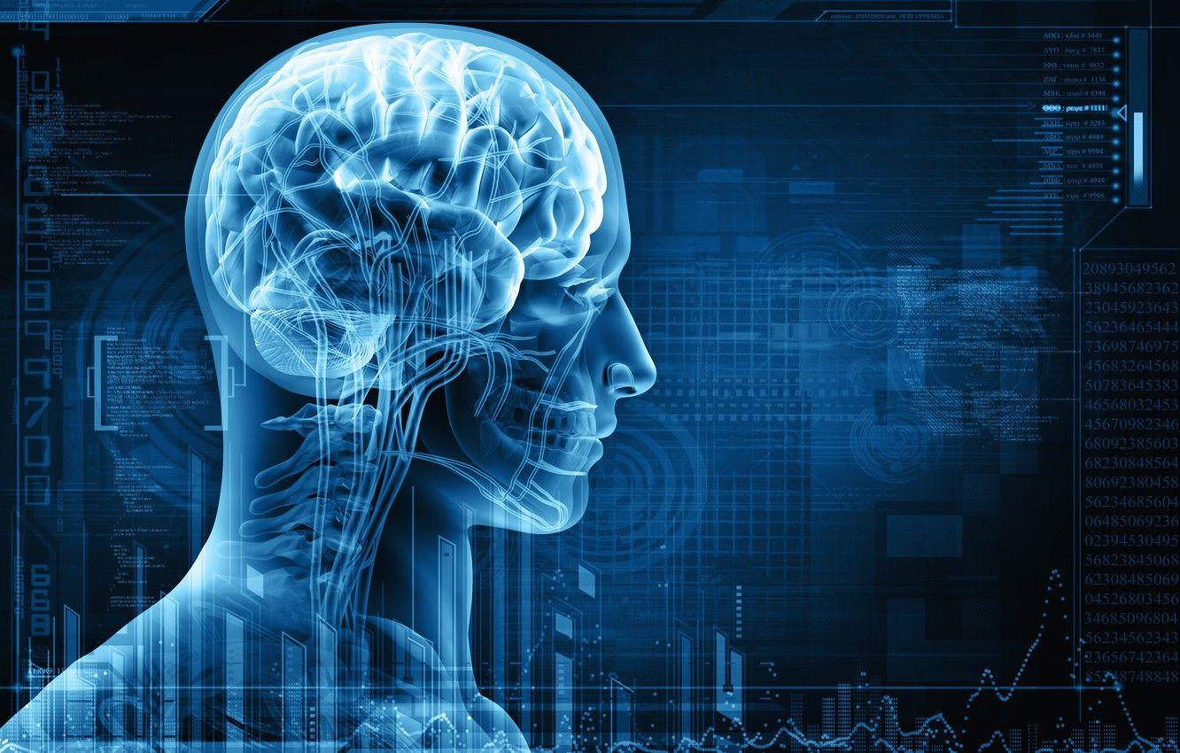 Radiography Wallpapers - Top Free Radiography Backgrounds - WallpaperAccess