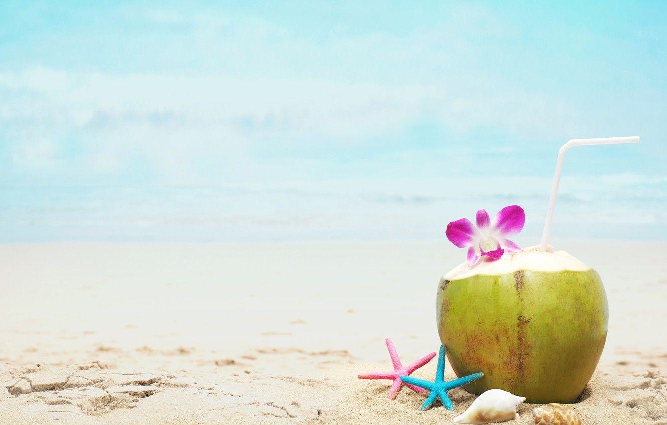 Coconut Beach Wallpapers - Top Free Coconut Beach Backgrounds ...