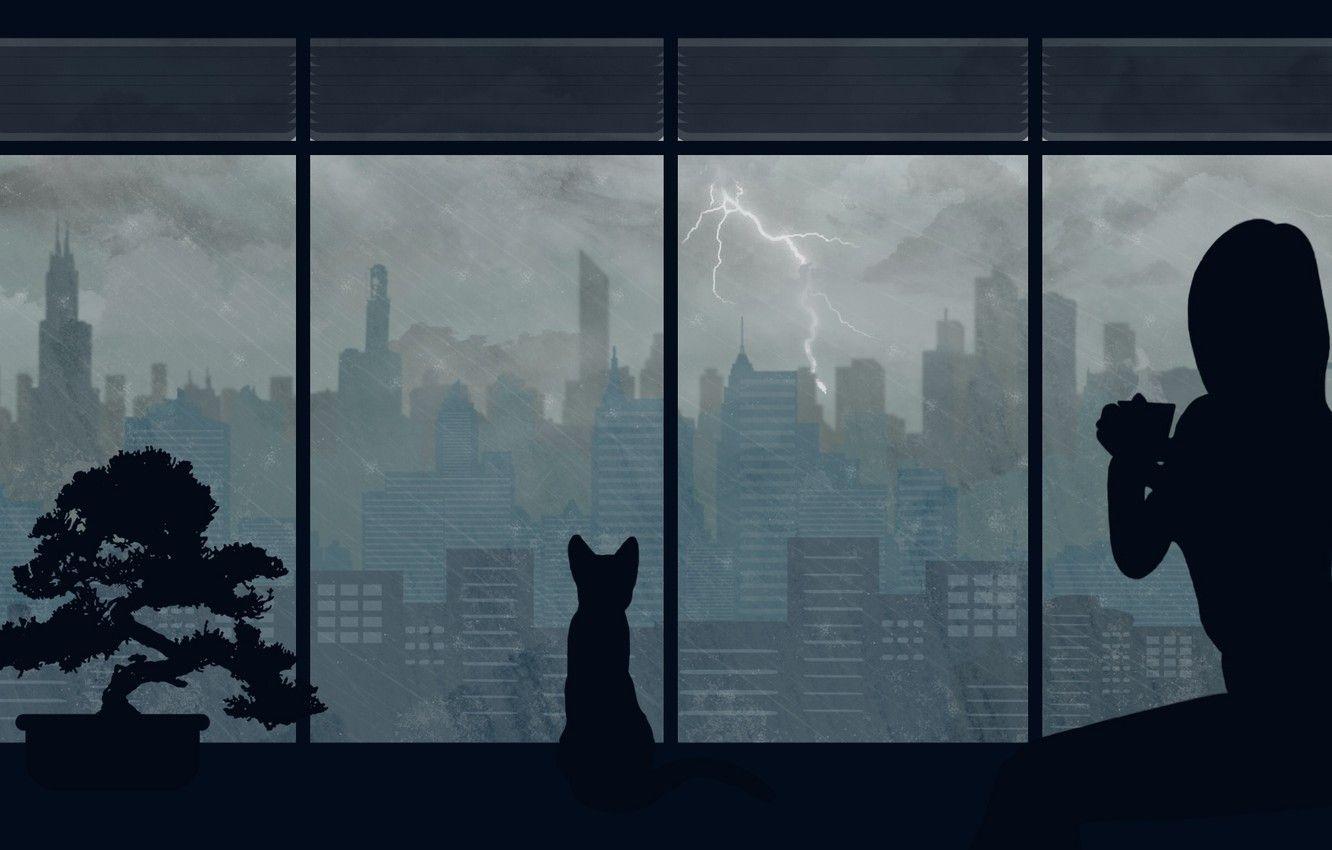 Cat Rain Wallpapers - Top Free Cat Rain Backgrounds - WallpaperAccess