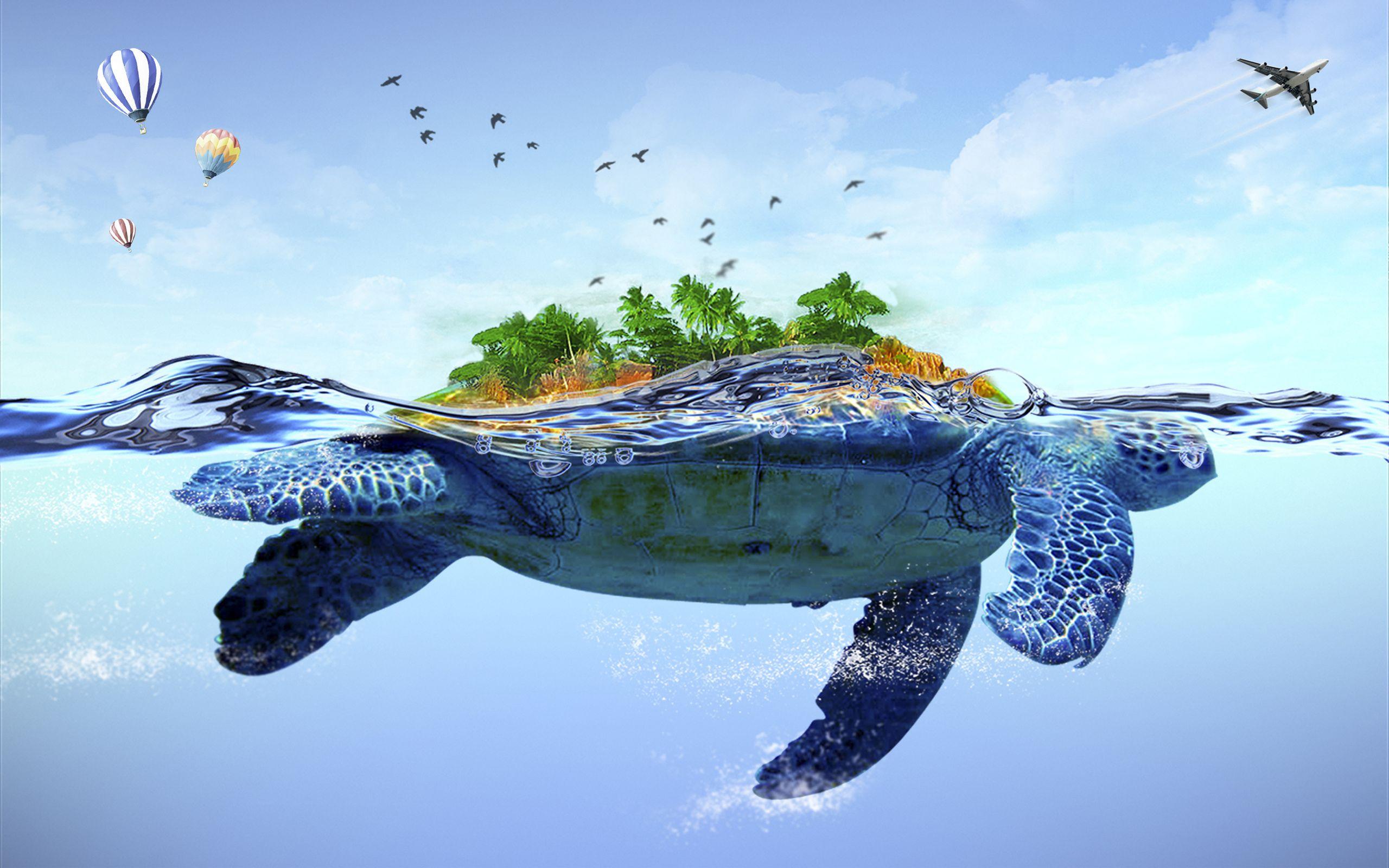 Green Sea Turtle Wallpapers - Top Free Green Sea Turtle Backgrounds ...