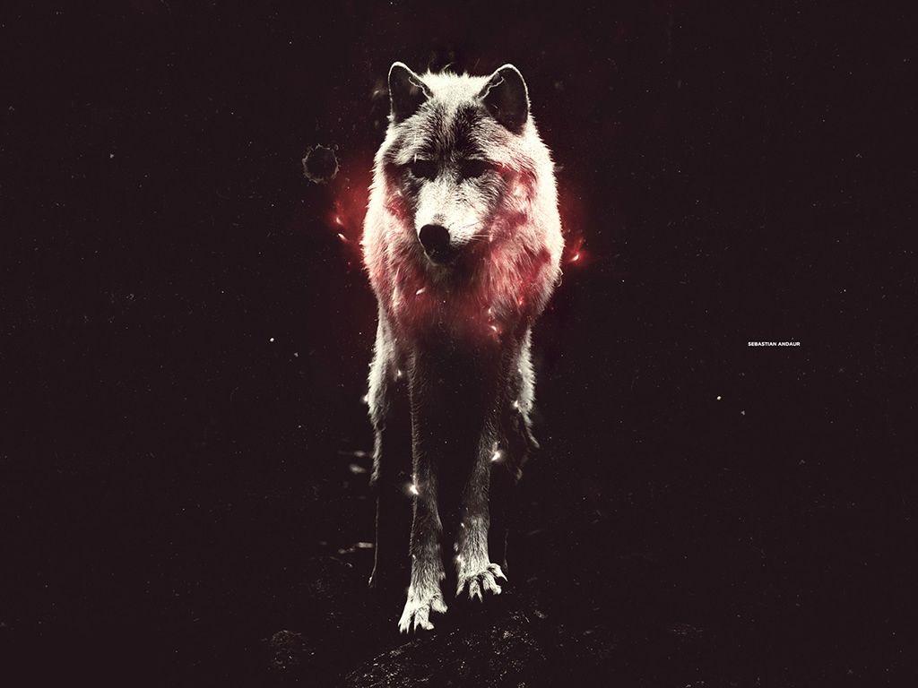 Hipster Wolf Wallpapers - Top Free Hipster Wolf Backgrounds ...