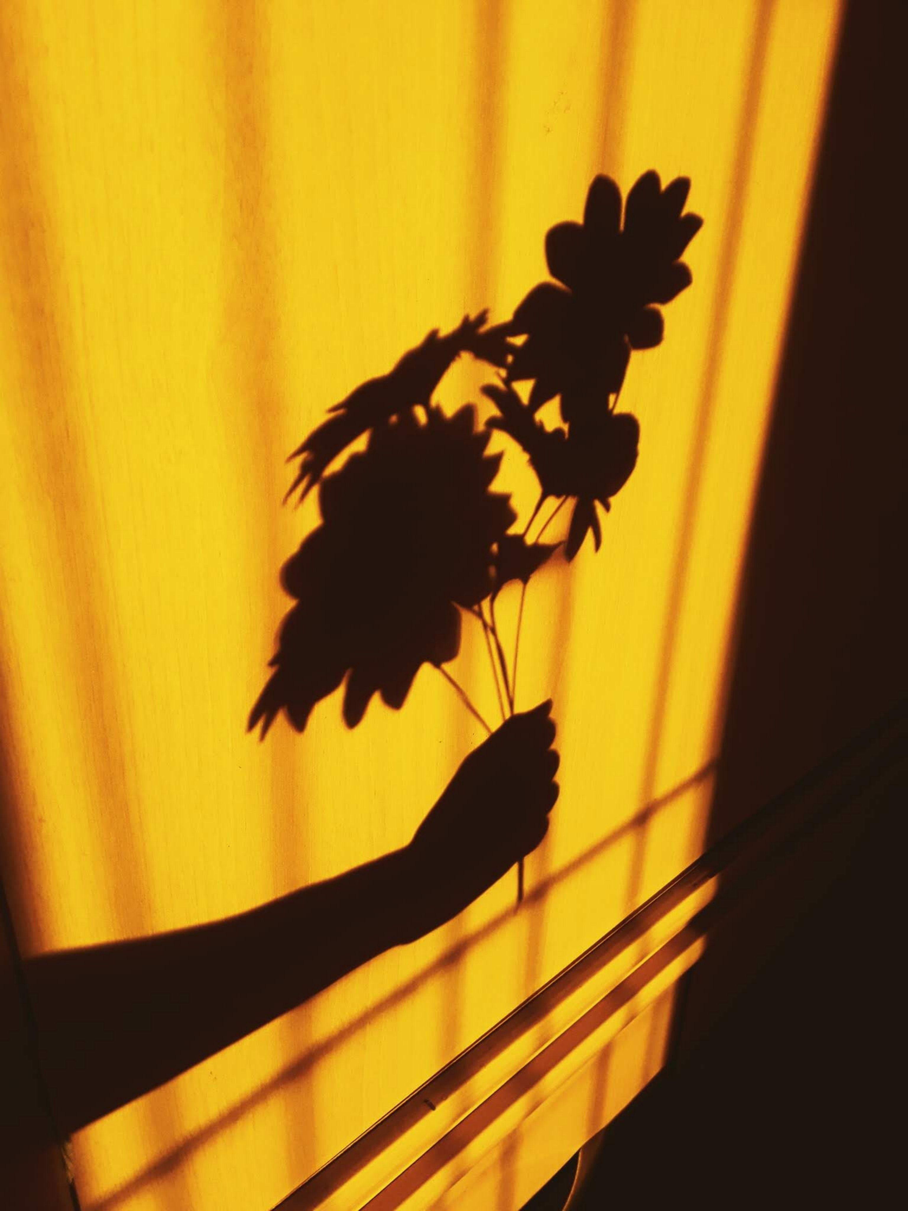 Person Shadow Wallpapers - Top Free Person Shadow Backgrounds ...