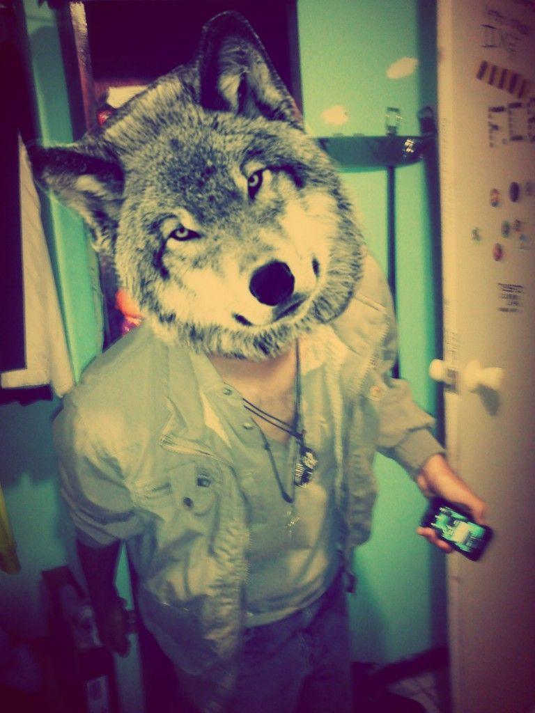 Hipster Wolf Wallpapers - Top Free Hipster Wolf Backgrounds ...