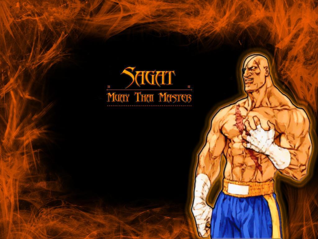 Sagat Wallpapers - Top Free Sagat Backgrounds - WallpaperAccess